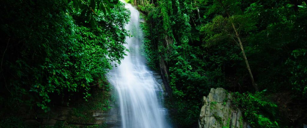 The Nature Bus - Sights to See, Nature Experiences, EcoTours