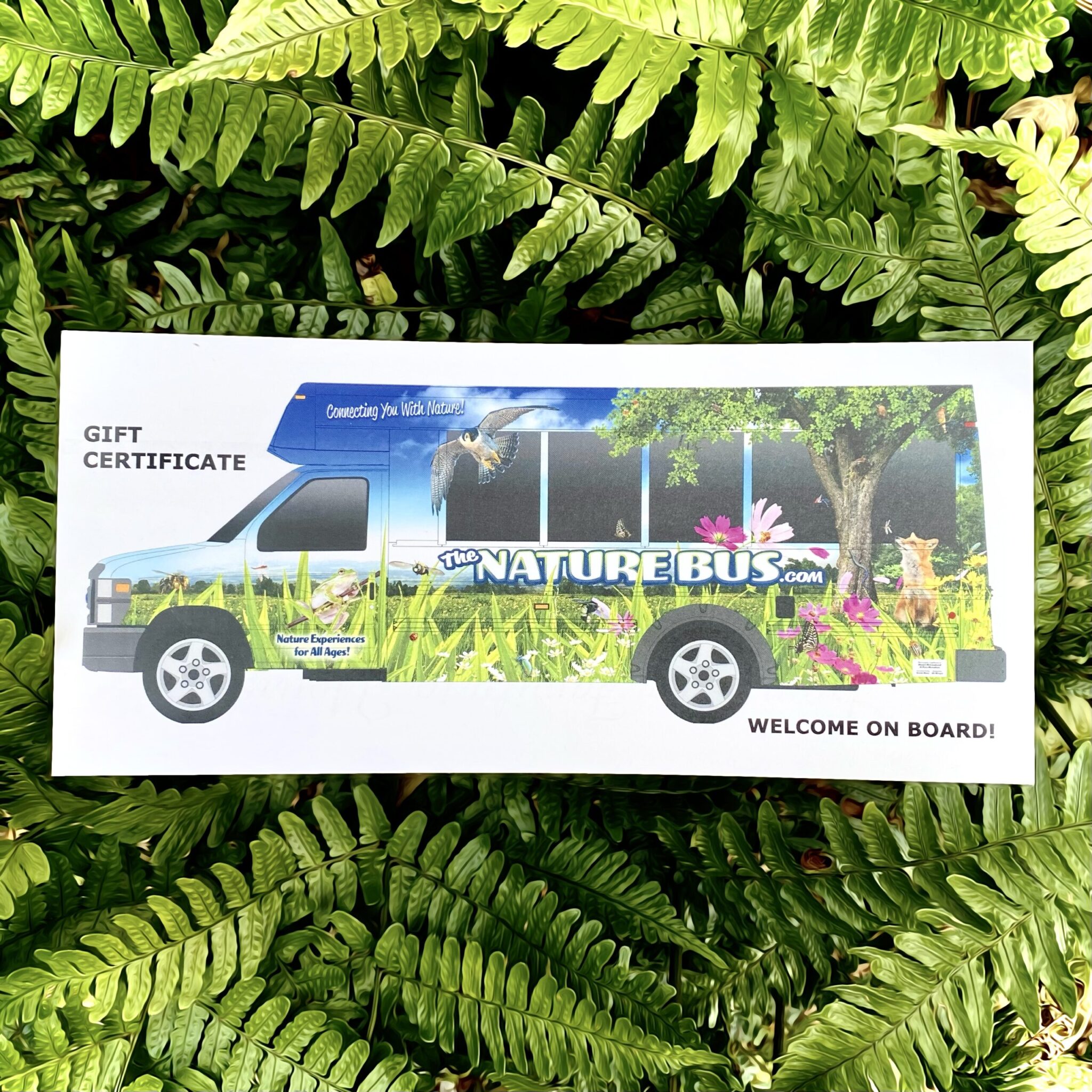 Calendar - Upcoming Nature Experiences | The Nature Bus