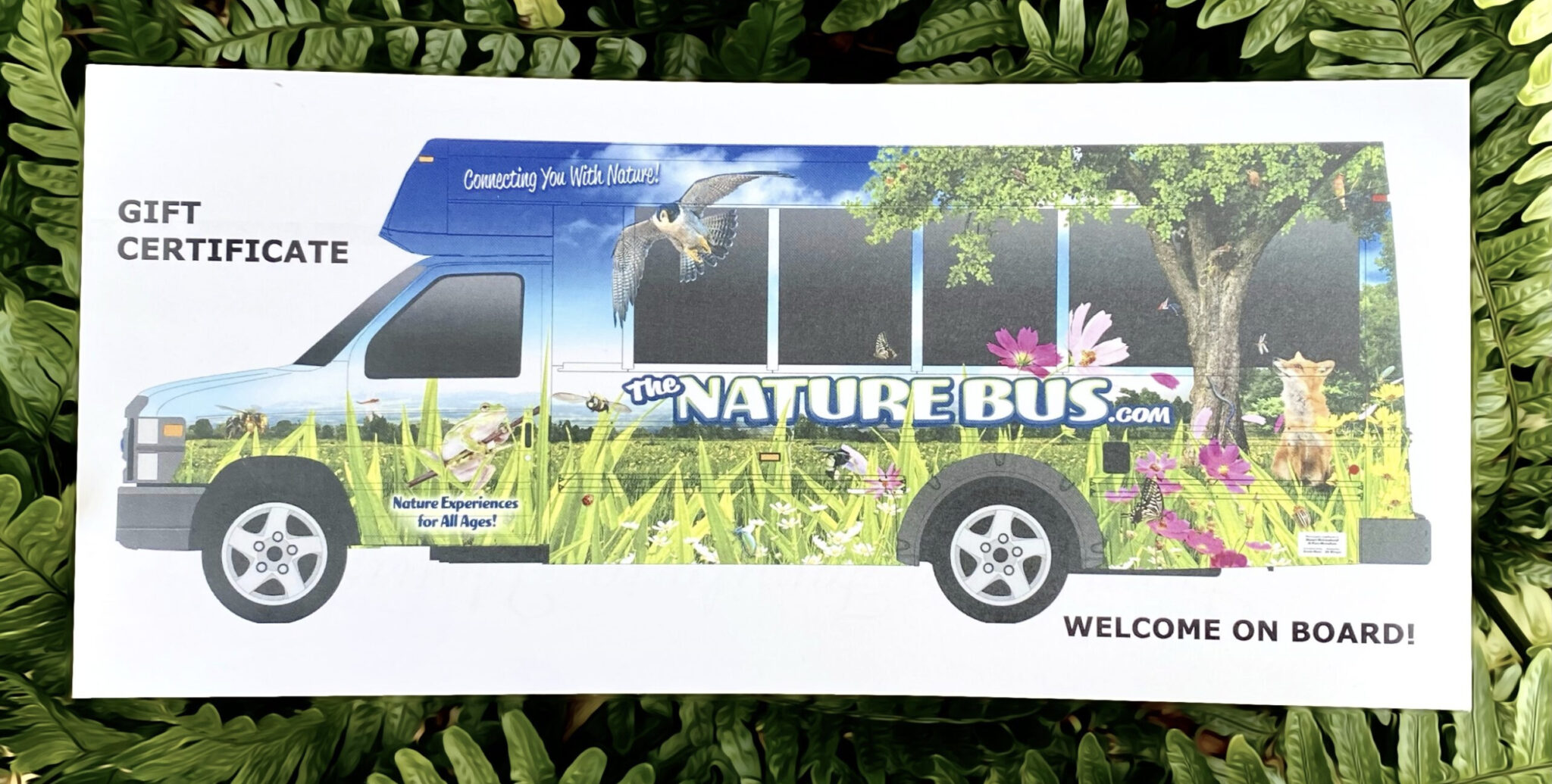 The Nature Bus - Sights to See, Nature Experiences, EcoTours
