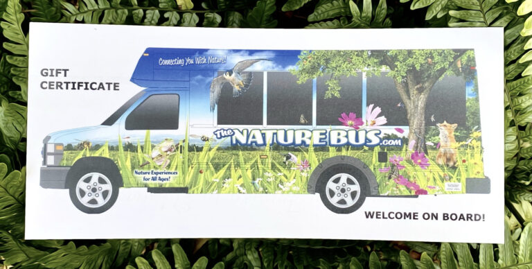 The Nature Bus - Sights to See, Nature Experiences, EcoTours