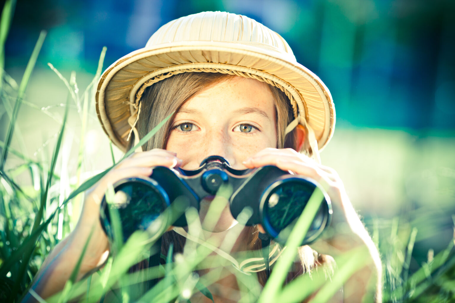 The Nature Bus - Sights to See, Nature Experiences, EcoTours