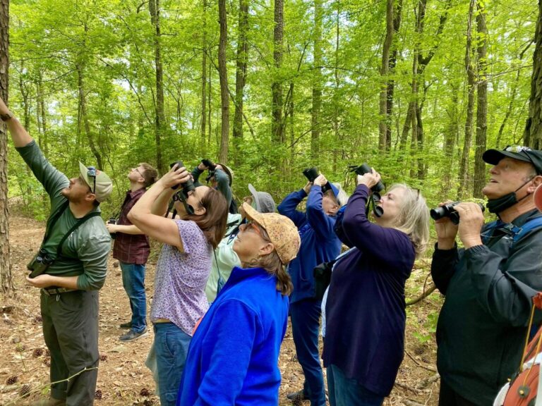 The Nature Bus - Sights to See, Nature Experiences, EcoTours